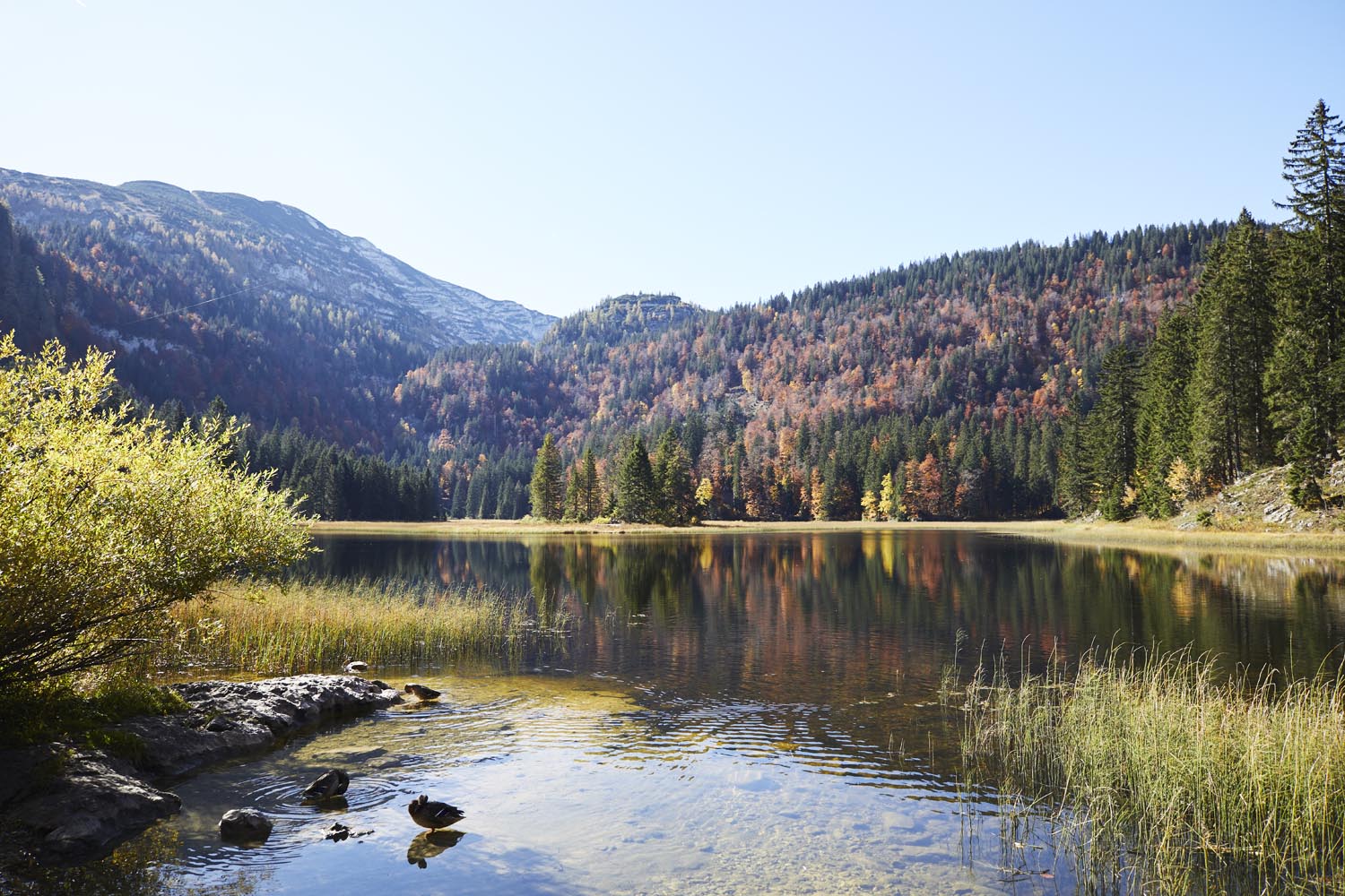 Refugium Lunz | Boutique-Hotel in Lunz am See